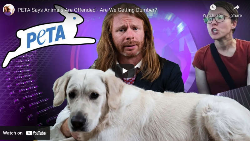 PETA Says Animals Are Being Offended By Us - Are We Getting Dumber?